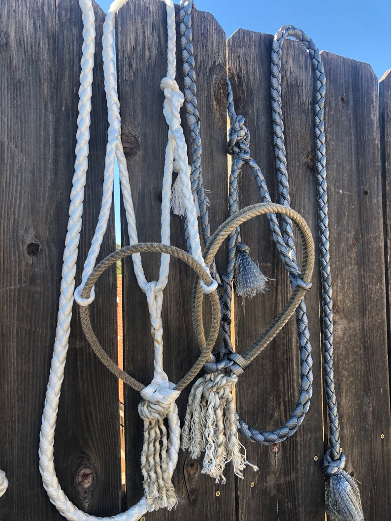 The Howdy Lariat Halter Set - Etsy