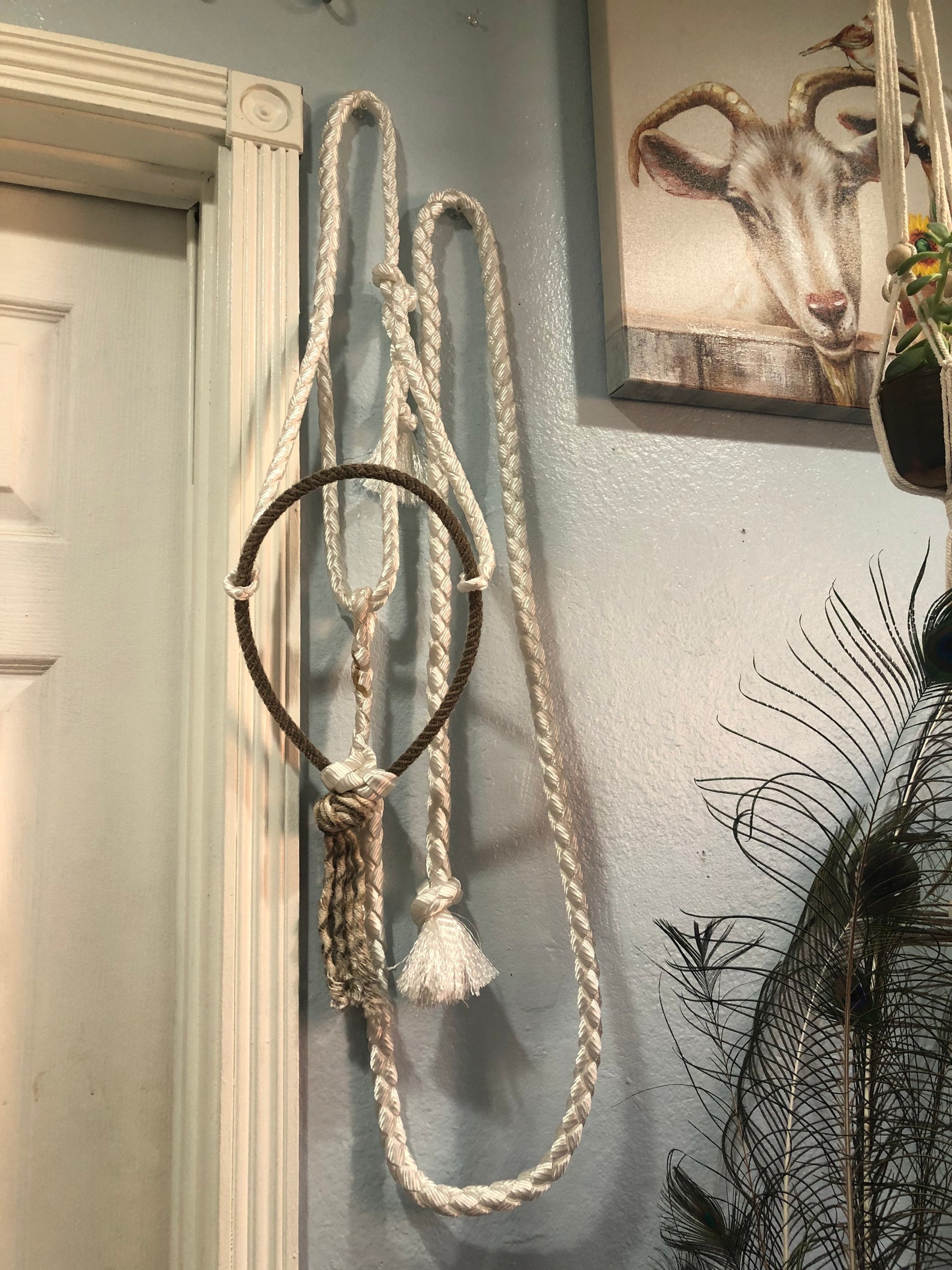 The Howdy Lariat Halter Set - Etsy