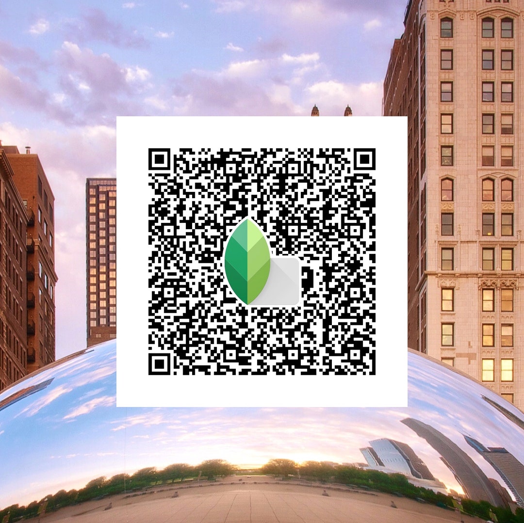 10 Chicago Inspired Mobile Snapseed Presets / Snapseed Looks - Etsy