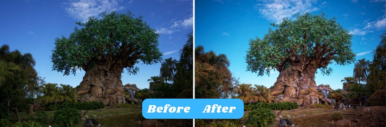 Family Vacation - Pixelmator Pro & Photomator Presets (adjustments ...