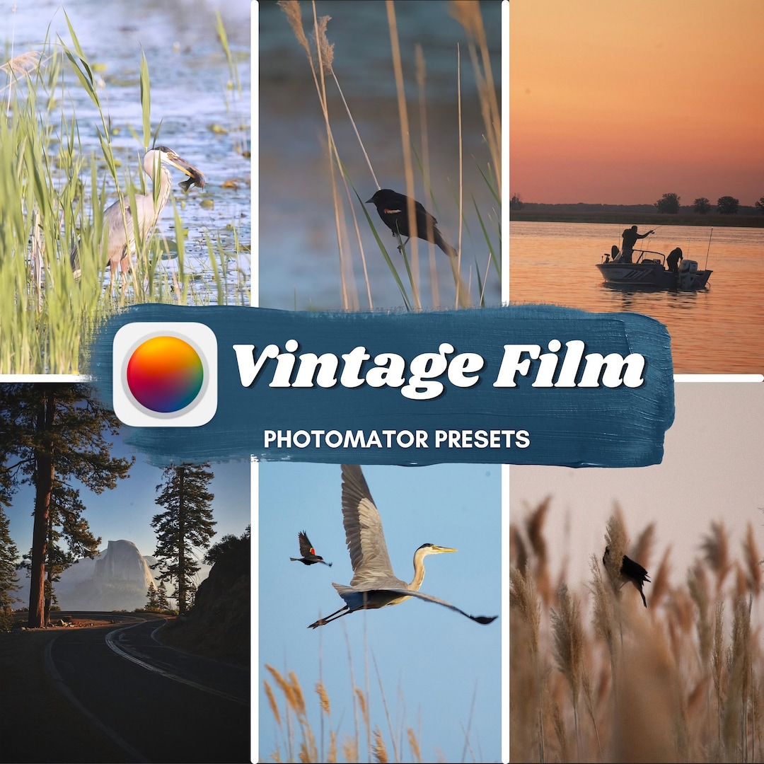 Vintage Film - Photomator Presets (adjustments) - Etsy