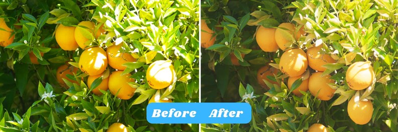 Pixelmator Pro - Old Europe Presets (adjustments) - Etsy