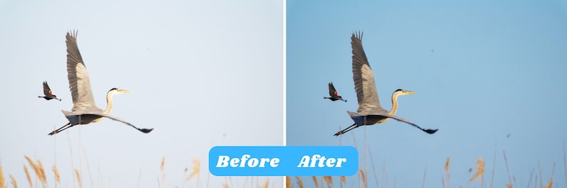 Vintage Film - Pixelmator Pro Presets (adjustments) - Etsy