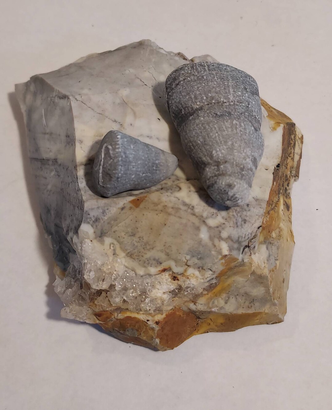 Ohio Flint Devonian Era Nyohio Flint Raw | Horn Coral | Flint ...
