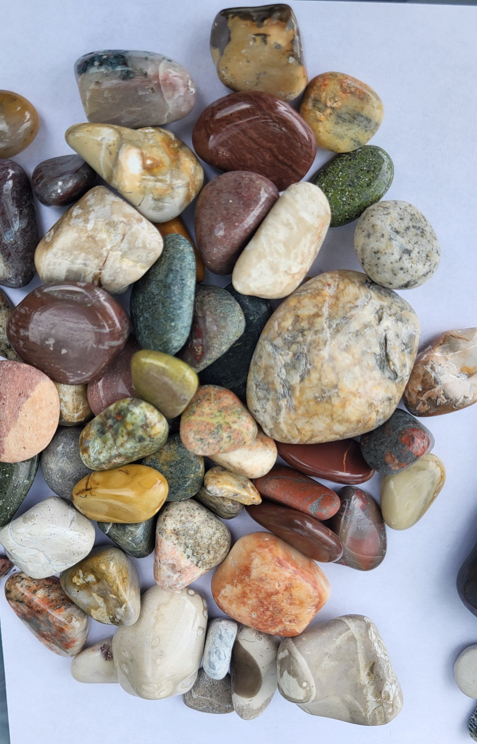 Random Selection, One Pound Polished Lake Superior Stones One Lake ...