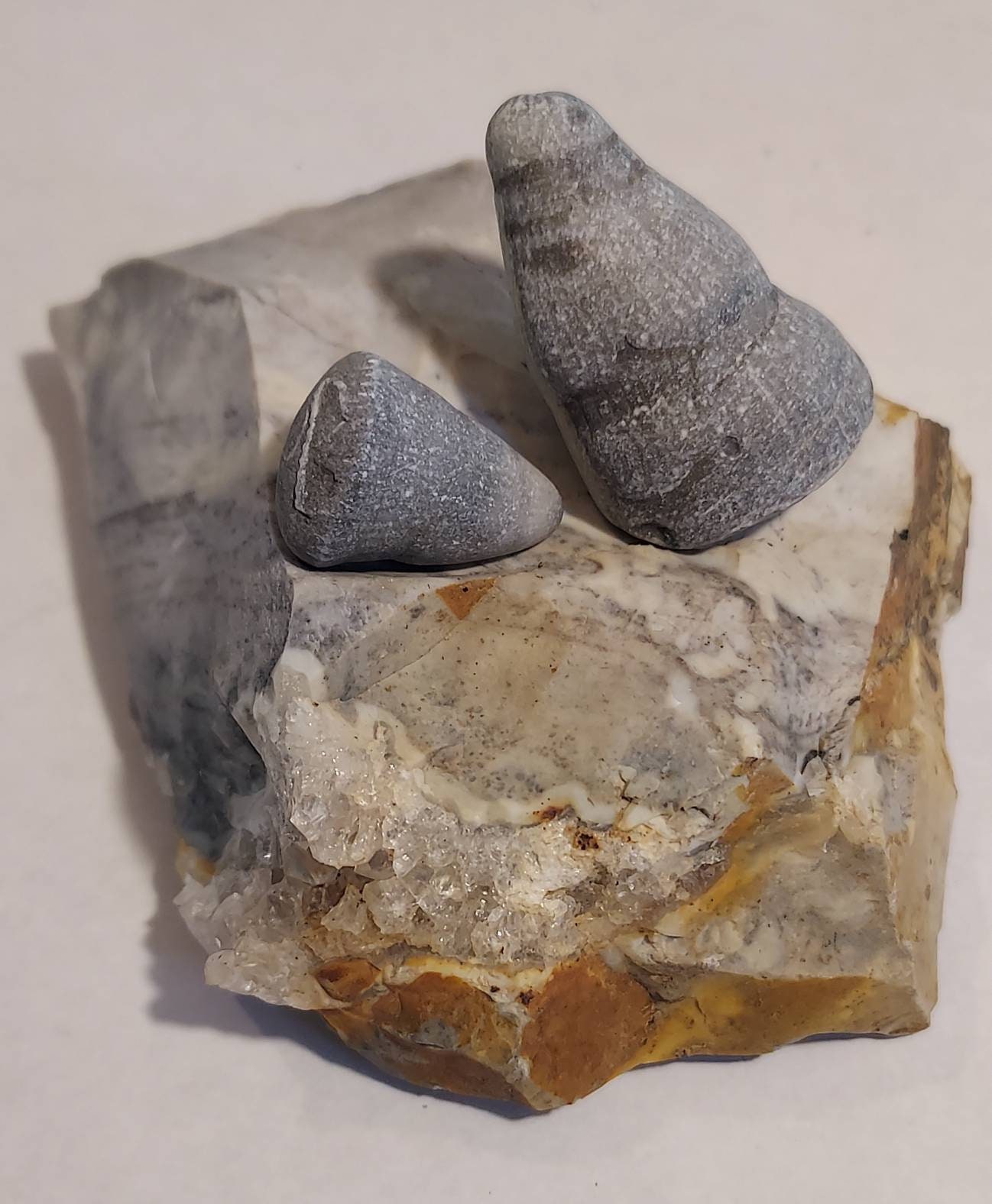 Ohio Flint Devonian Era Nyohio Flint Raw Horn Coral Flint Crystals ...