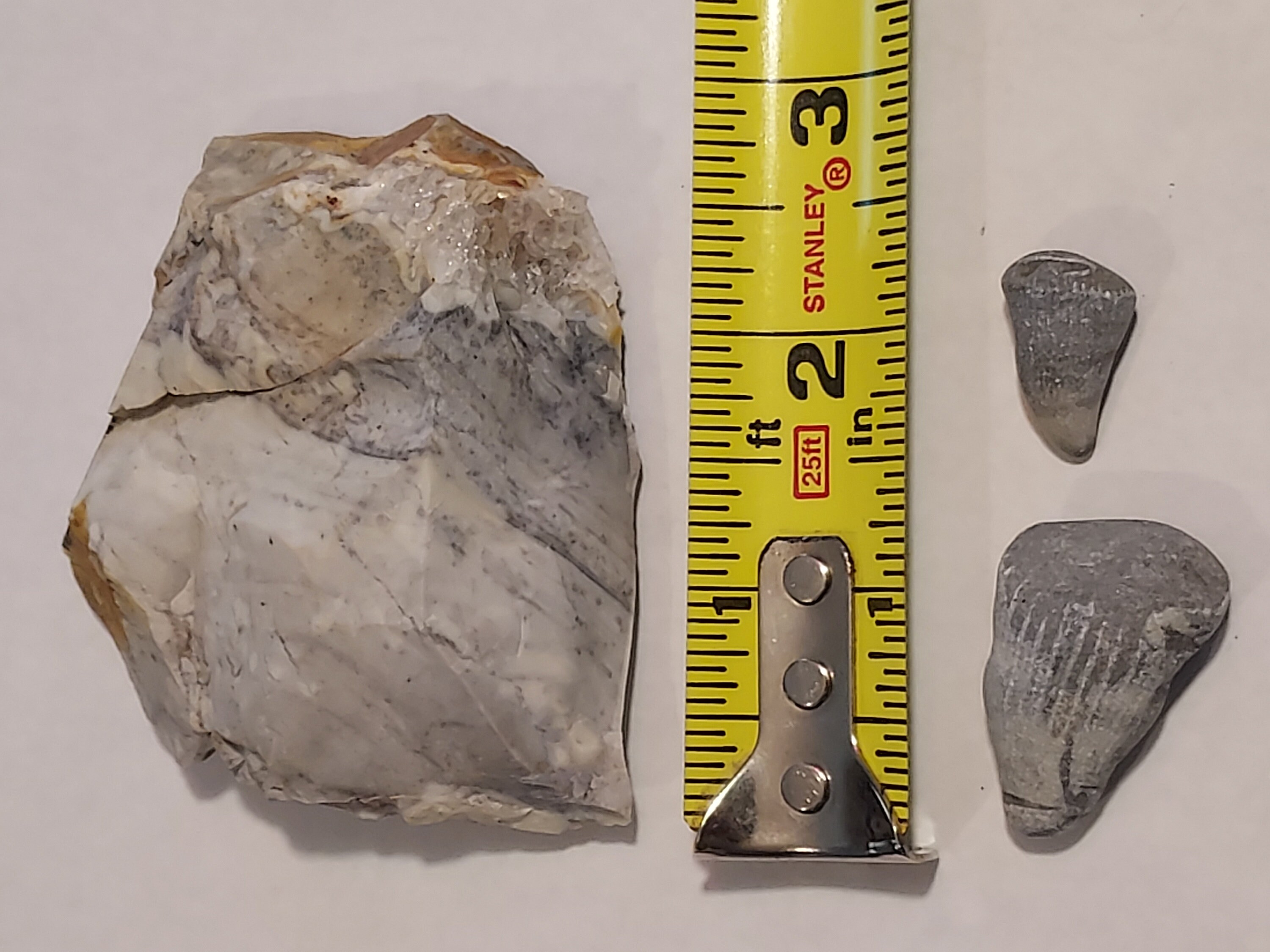 Ohio Flint Devonian Era Nyohio Flint Raw Horn Coral Flint Crystals ...