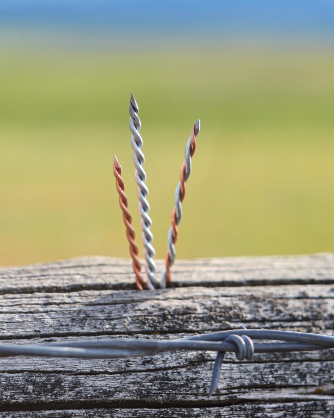 Copper Cowboy Toothpick - Etsy
