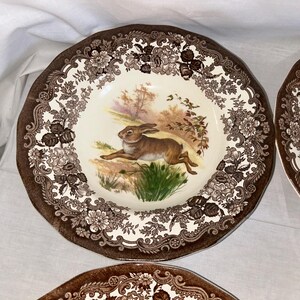 PALISSY ROYAL WORCESTER Game Series 9 Rimmed Soup Pasta Bowls sets of 6 ...