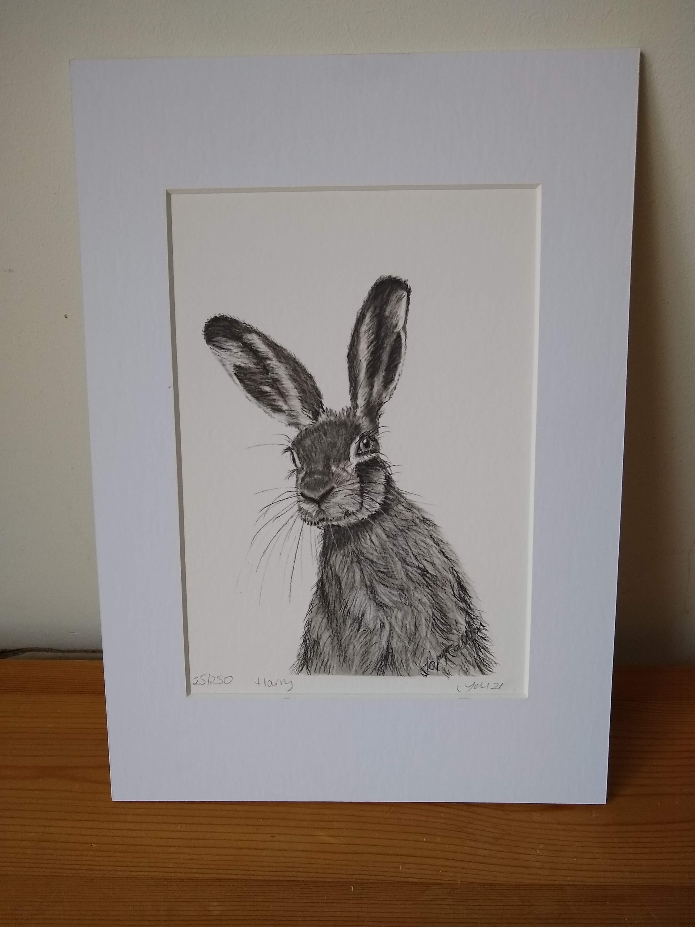 Harry (hare in Charcoal) - Limited Edition Fine Art Giclée Print, From ...
