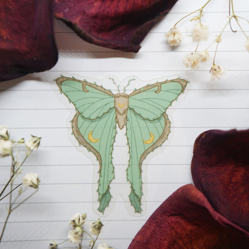 Luna Moth Sticker Clear Sticker Decal Magical Sticker Moon - Etsy