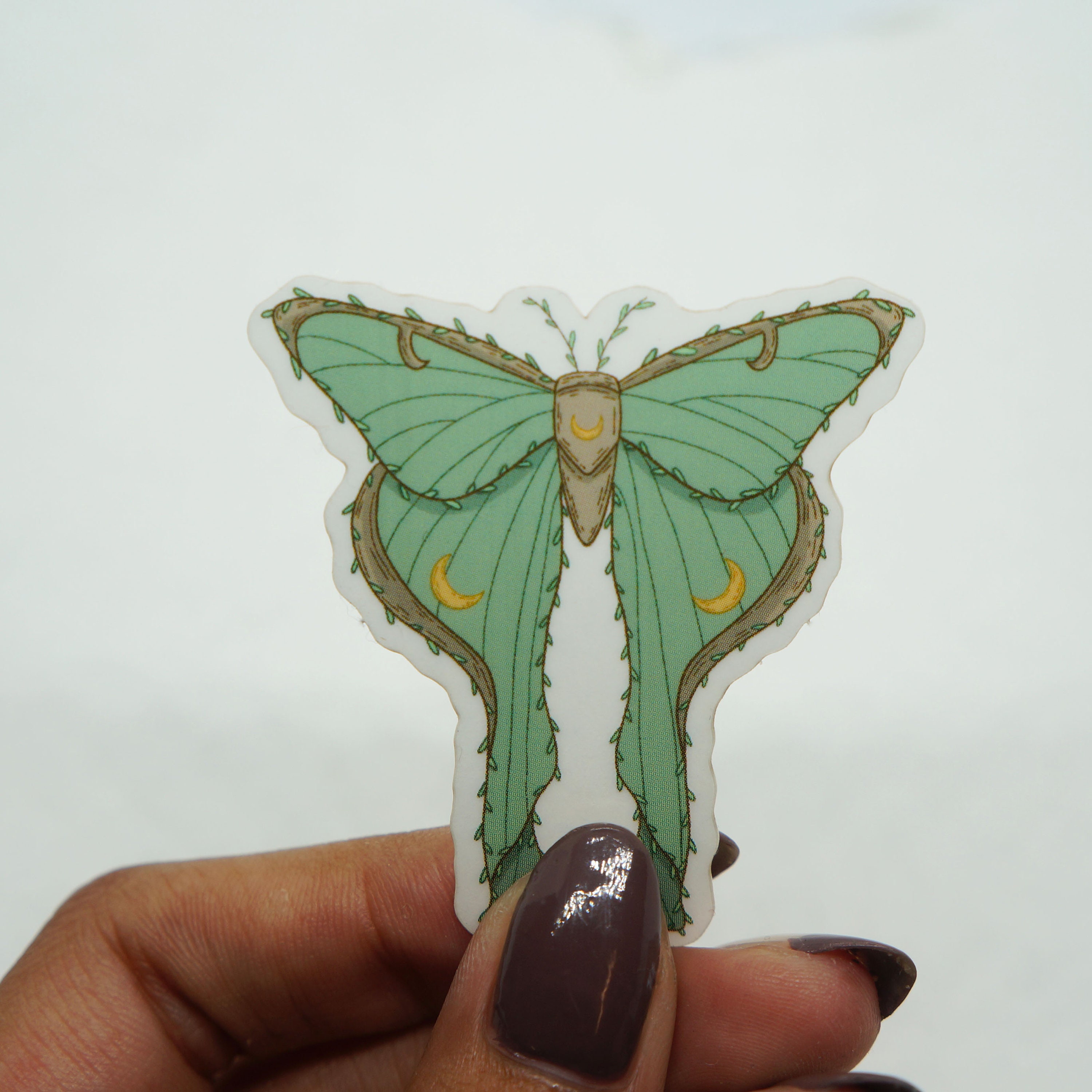 Luna Moth Sticker Clear Sticker Decal Magical Sticker Moon - Etsy