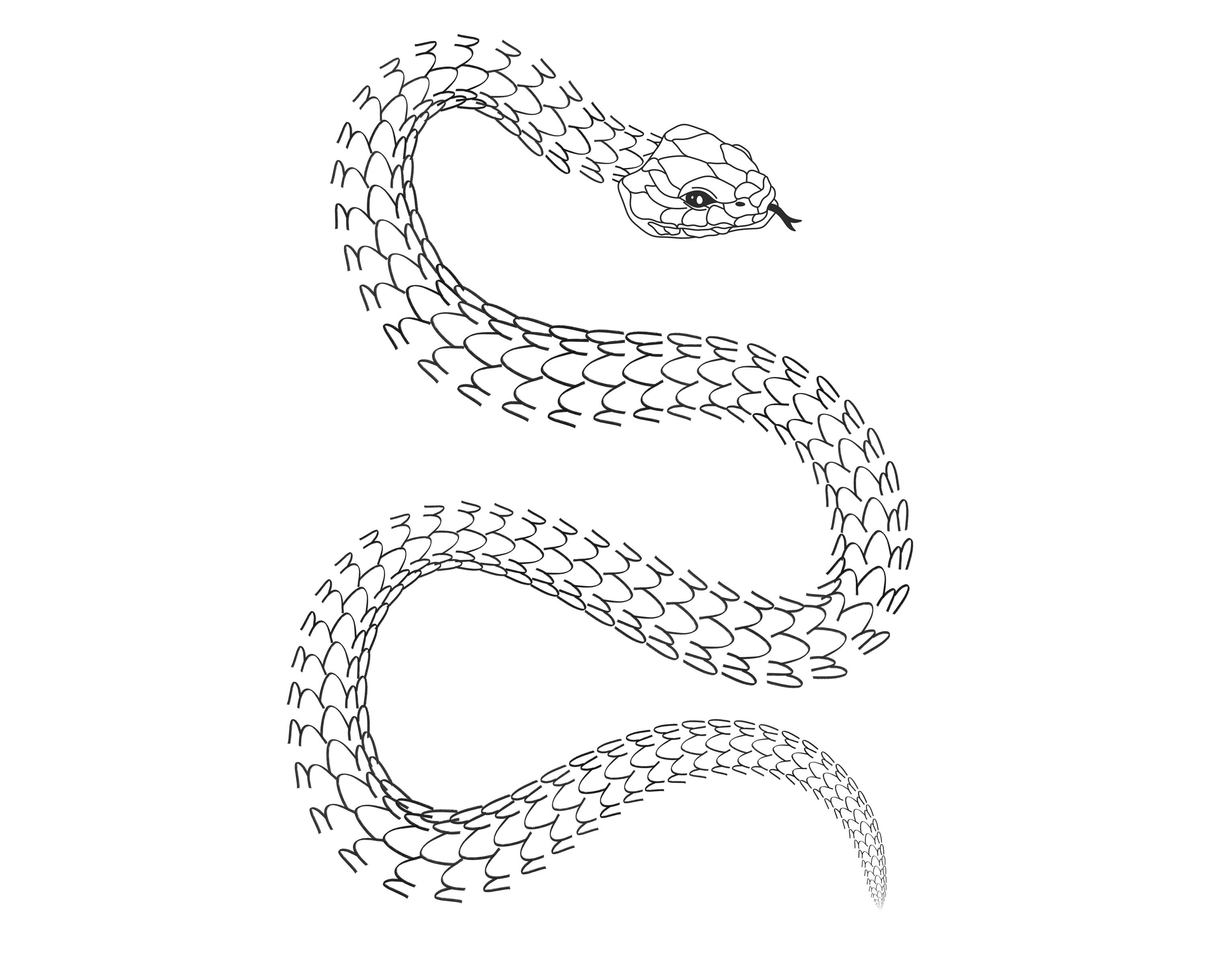 Procreate Scales Brush Set - 1 - Etsy