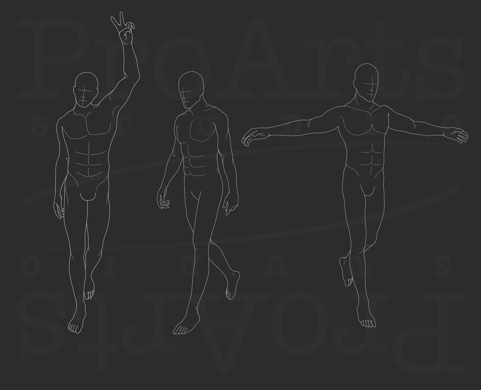 Procreate Figure Guide Stamps | Model Form Stamps Set | Human Form ...