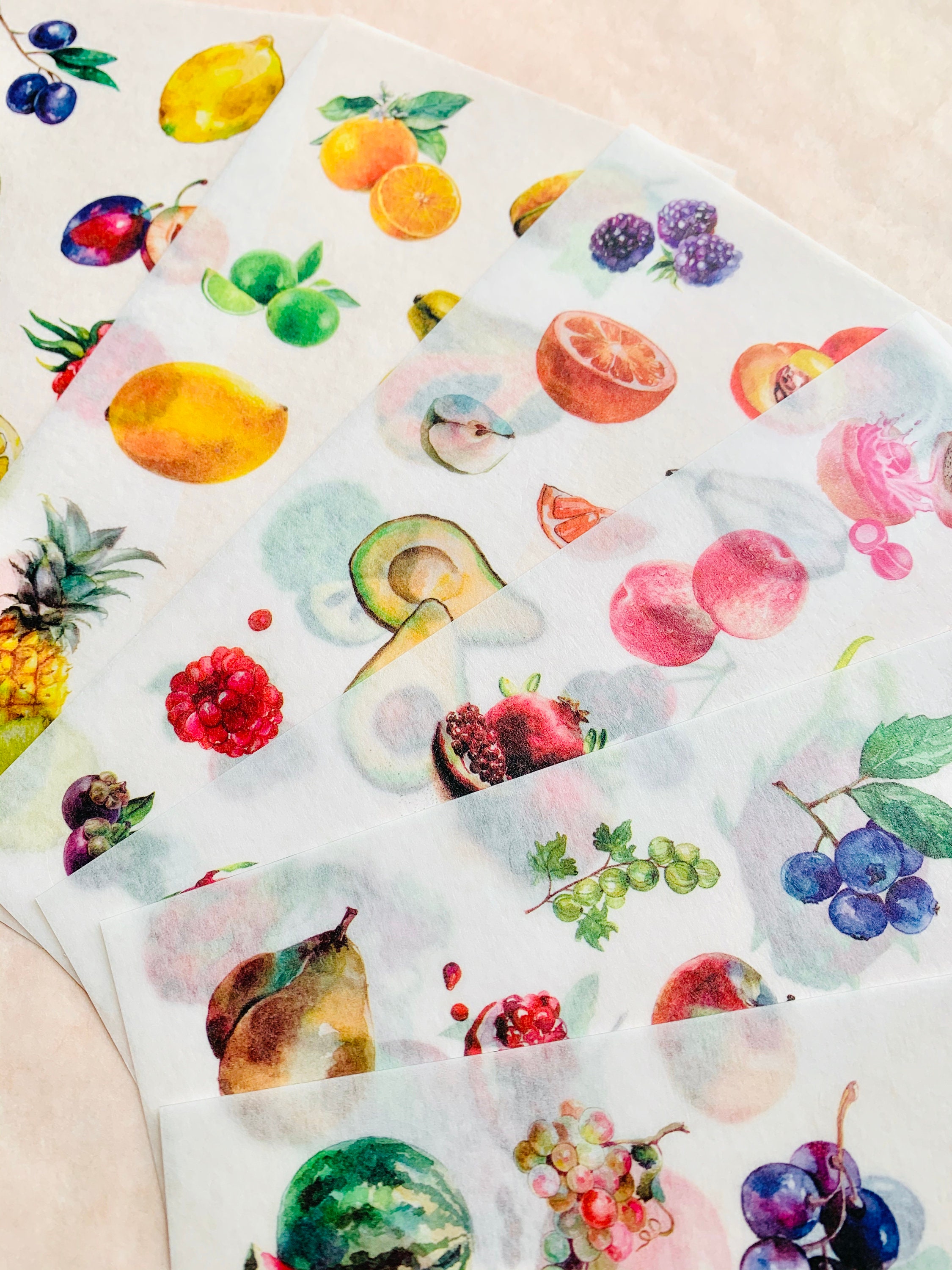 6 Sheets Assorted Fruit Watercolor Sticker Sheet Translucent | Etsy