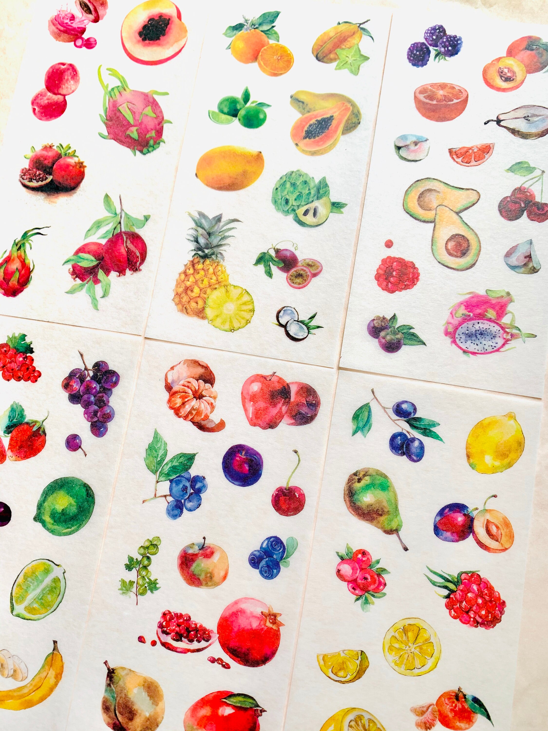 6 Sheets Assorted Fruit Watercolor Sticker Sheet Translucent | Etsy