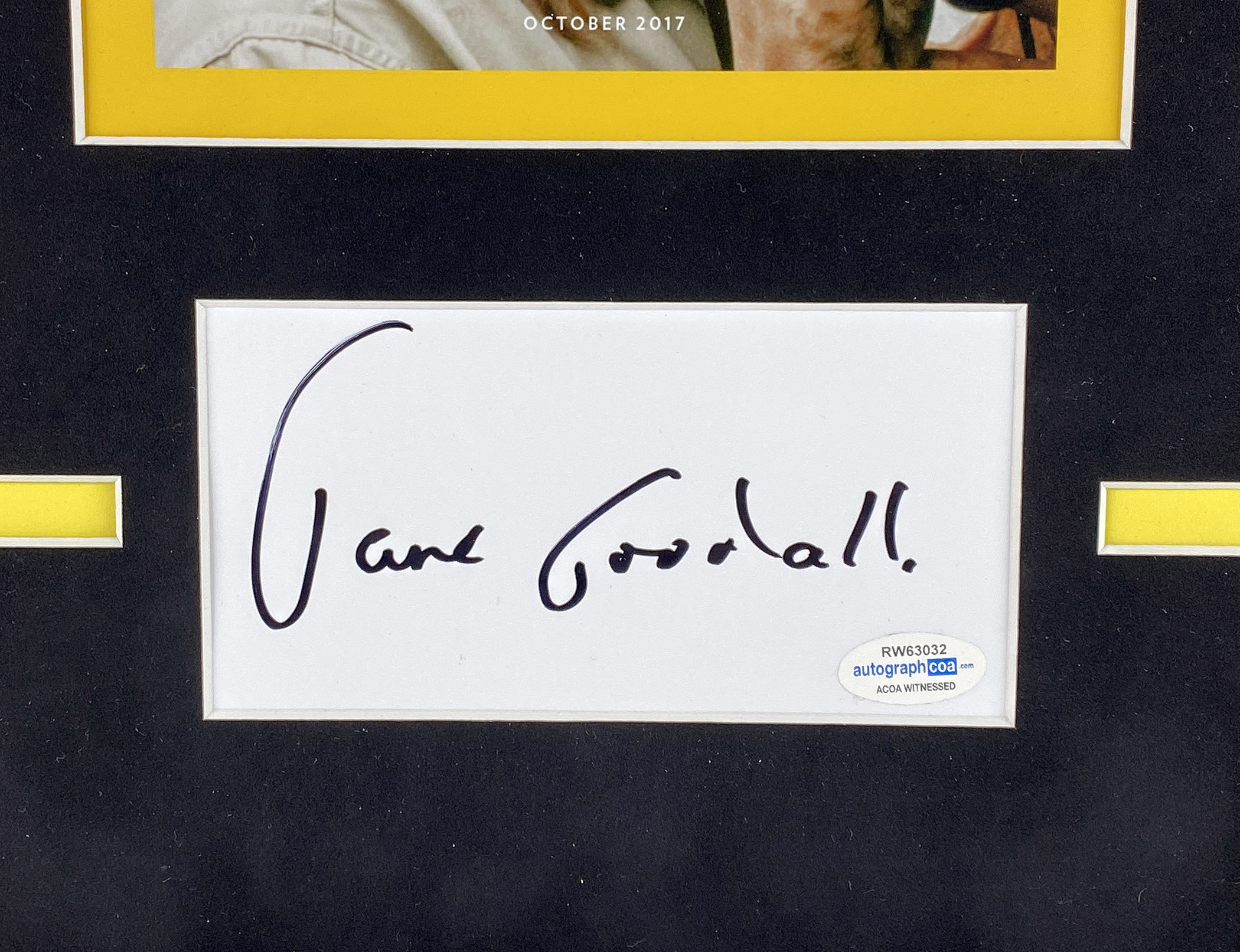 Jane Goodall Dédicacé Signé 16x20 Frame Display - Etsy Canada