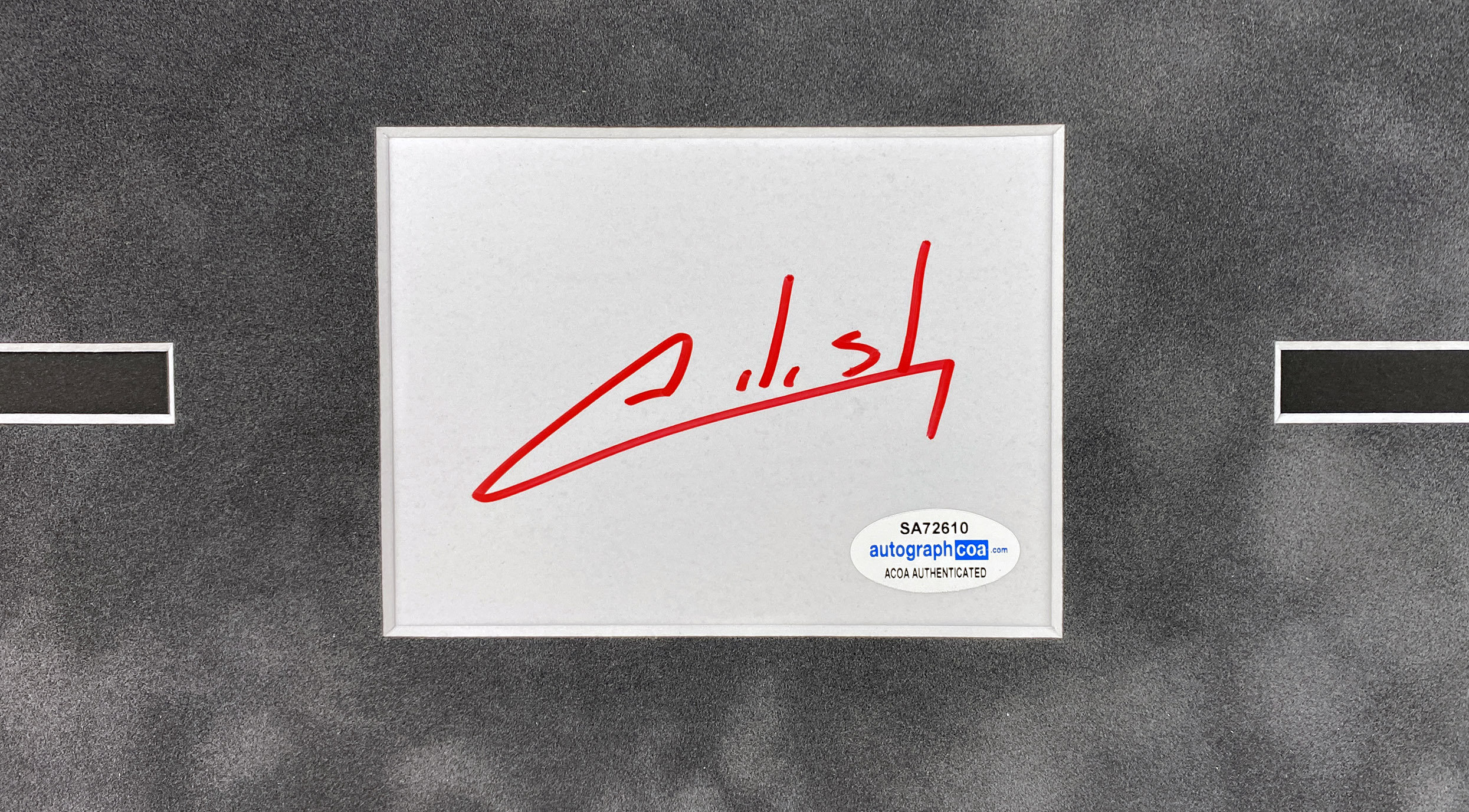 Billie Eilish Autograph Signed 16x20 Framed Album Cover Photo Display ...