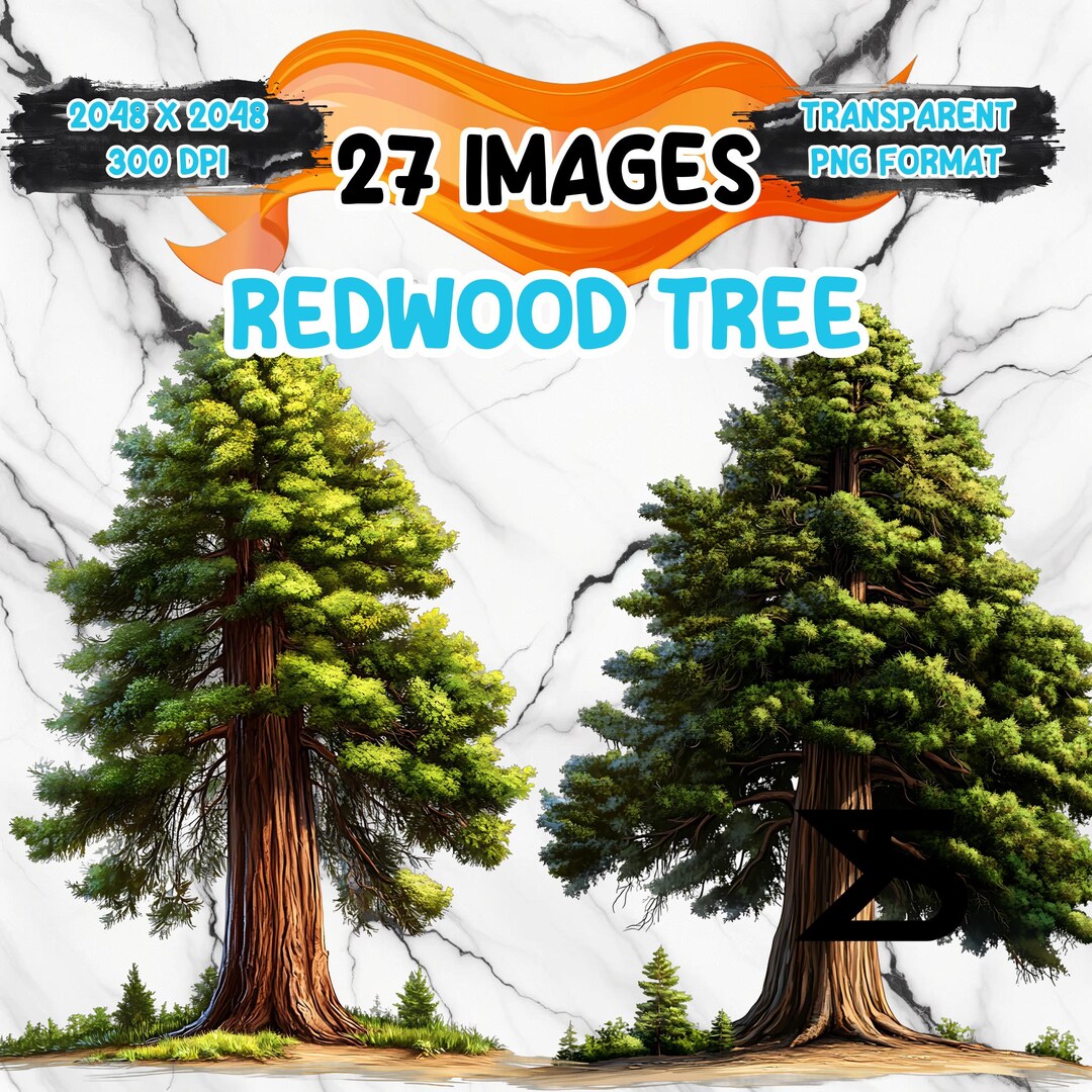 Watercolor Redwood Tree PNG Image Bundle Transparent Background ...