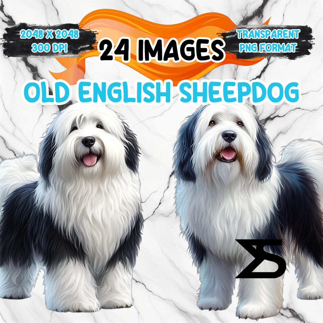 Watercolor Old English Sheepdog PNG Image on Transparent Background ...