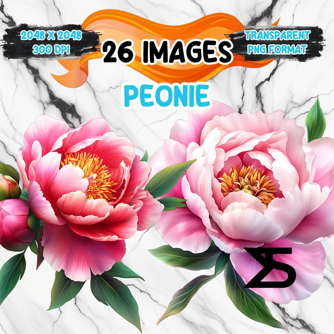 Watercolor Peonie PNG Image on Transparent Background, Digital Sticker ...