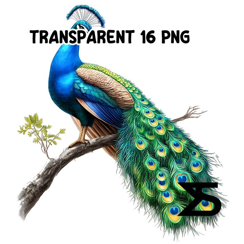 Watercolor Peacock PNG Image With Transparent Background, Clipart ...