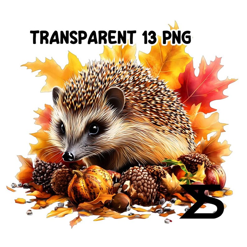 Watercolor Fall Hedgehog PNG Image on Transparent Background, Digital ...