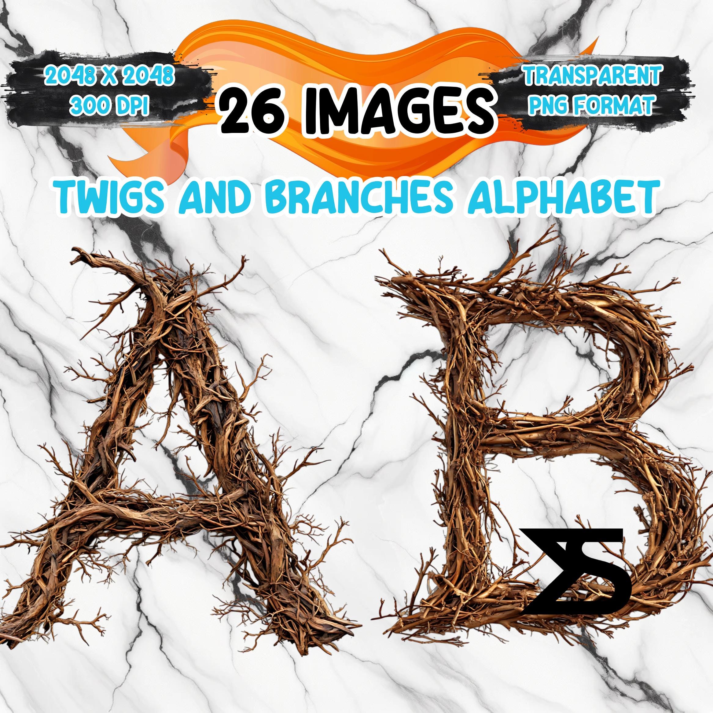 Watercolor Twigs and Branches Alphabet PNG Image on Transparent ...
