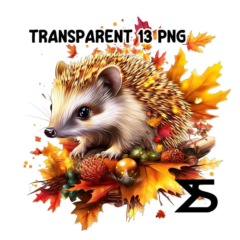 Watercolor Fall Hedgehog PNG Image on Transparent Background, Digital ...