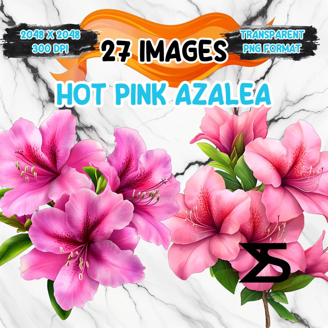 Watercolor Hot Pink Azalea PNG Image on Transparent Background, Digital ...