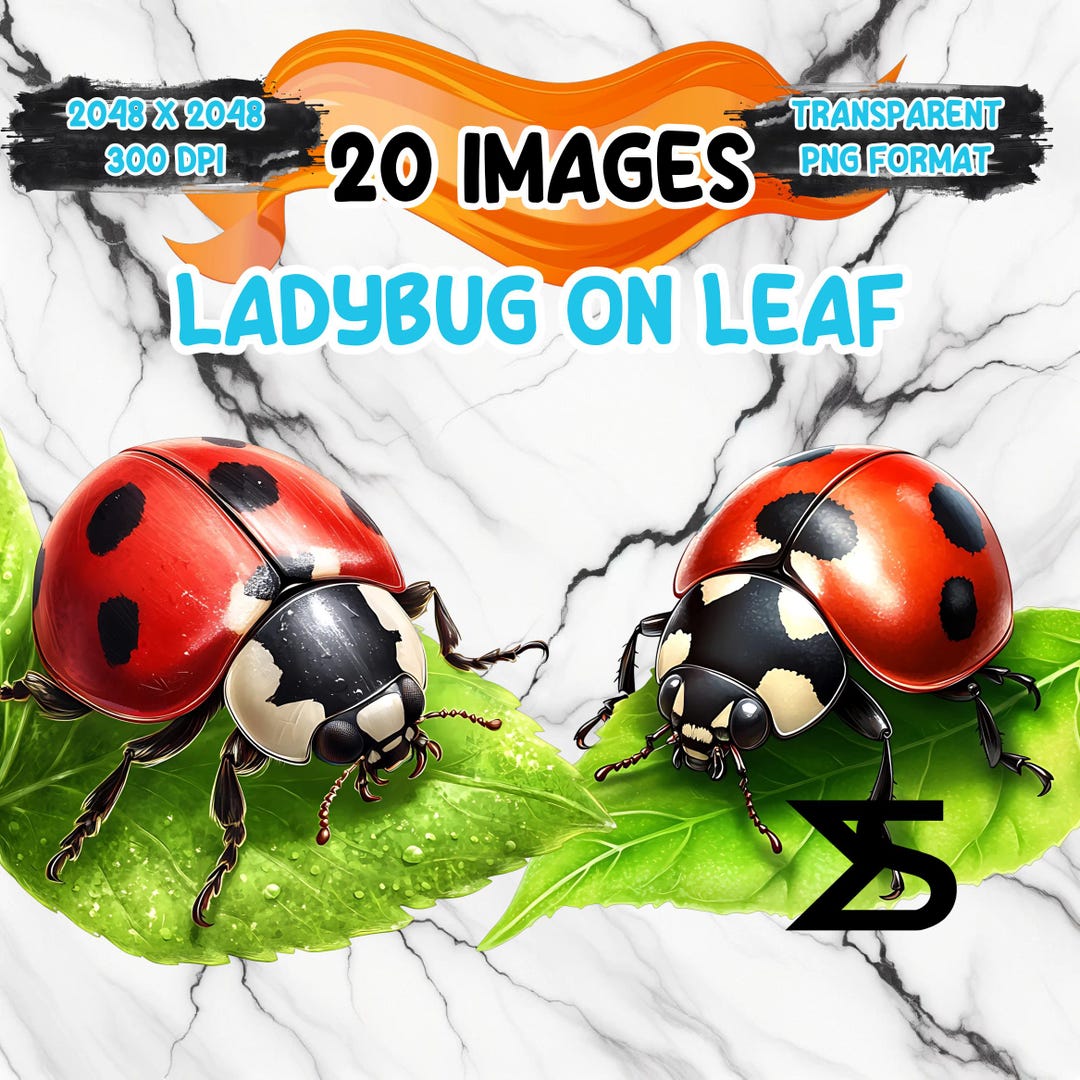 Watercolor Ladybug on Leaf PNG Image, Ladybug Clipart Bundle ...