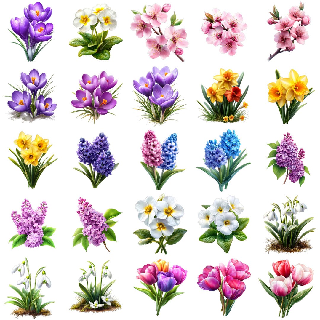 Watercolor Spring Flowers PNG Image, Spring Clipart Bundle, Commercial ...