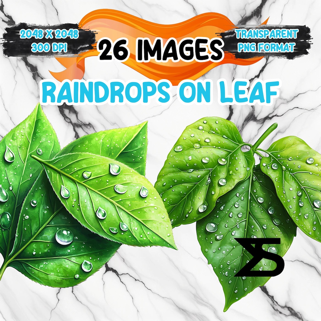 Watercolor Raindrops on Leaf PNG Image, Leaf Clipart Bundle, Commercial ...