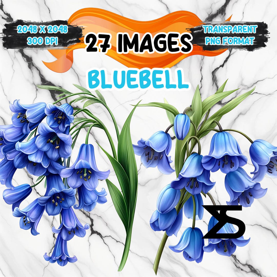 Watercolor Bluebell PNG Image on Transparent Background, Digital ...
