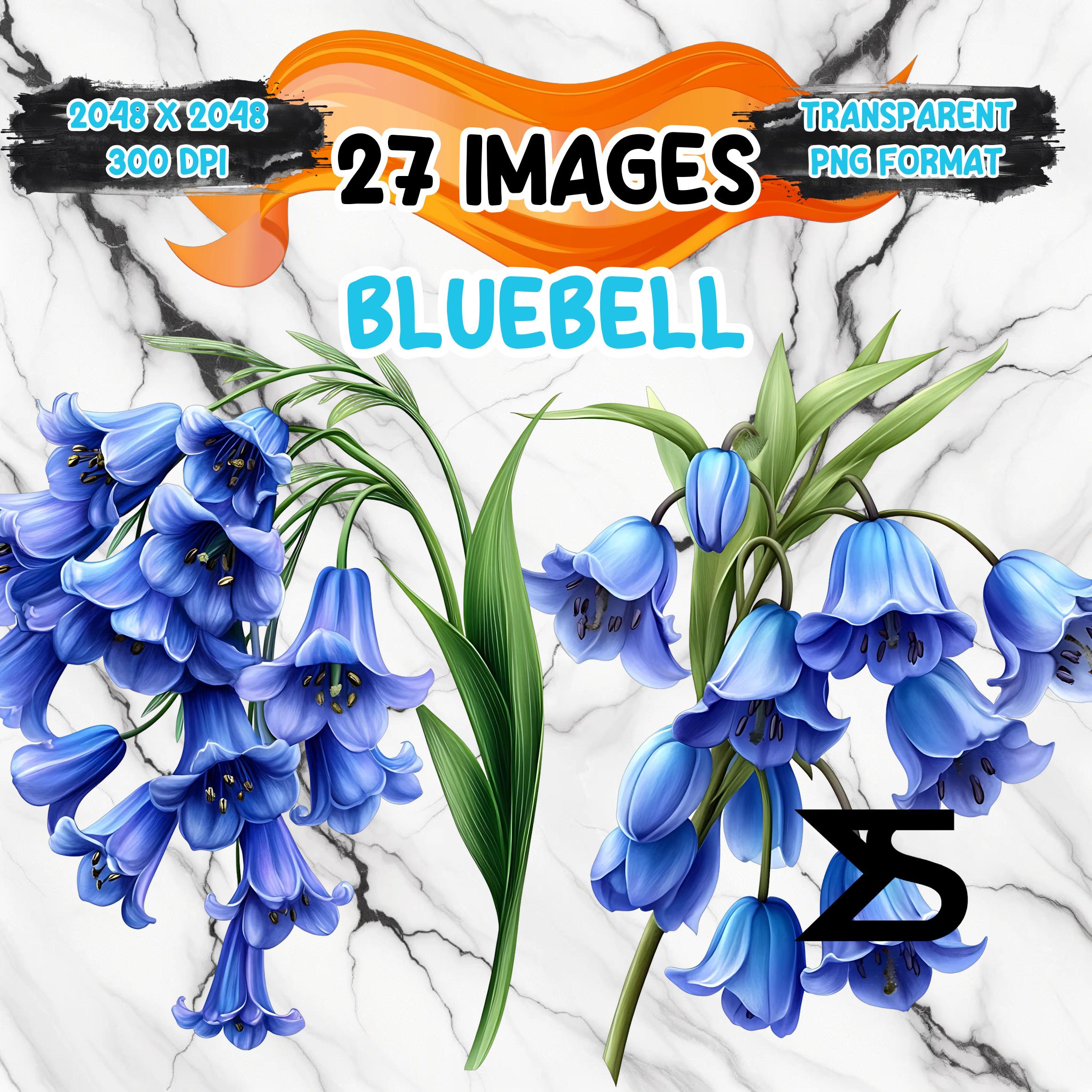 Watercolor Bluebell PNG Image on Transparent Background, Digital ...
