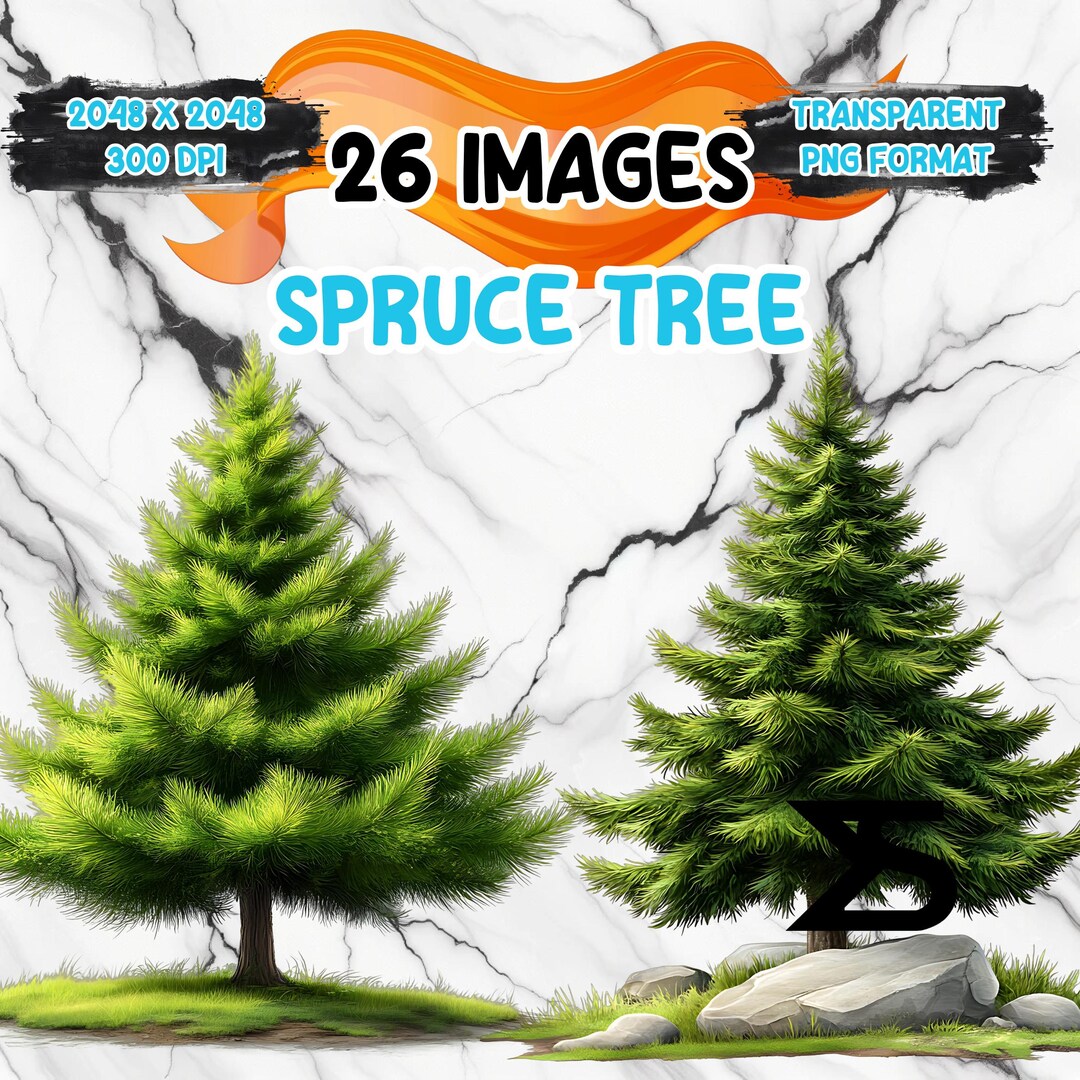 Watercolor Spruce Tree PNG Image Bundle Transparent Background, Digital ...