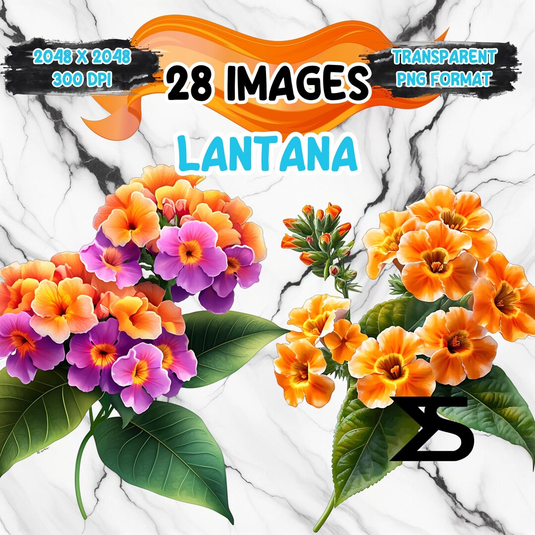 Watercolor Lantana PNG Image on Transparent Background, Digital Sticker ...