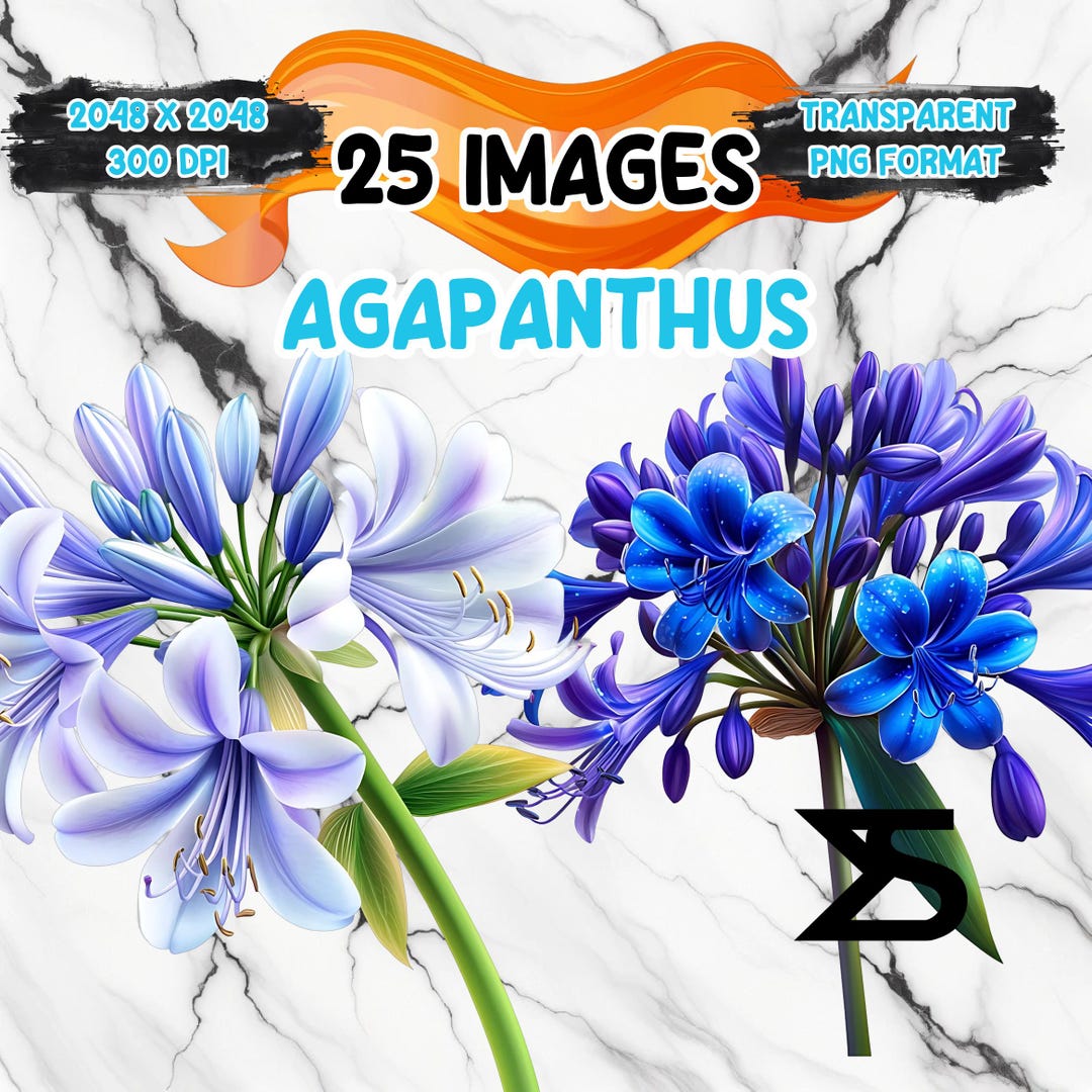 Watercolor Agapanthus PNG Image on Transparent Background, Digital ...