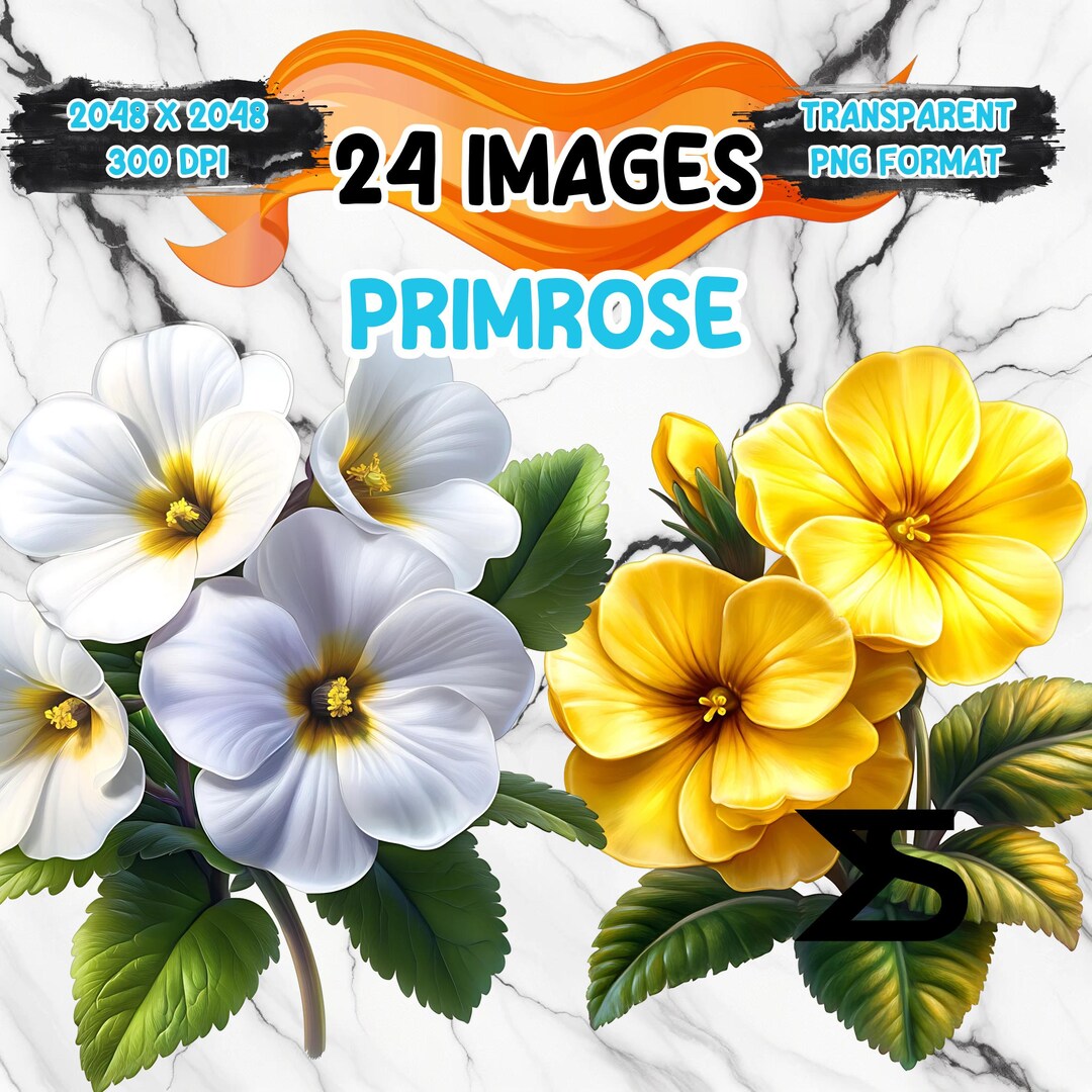 Watercolor Primrose PNG Image on Transparent Background, Digital ...