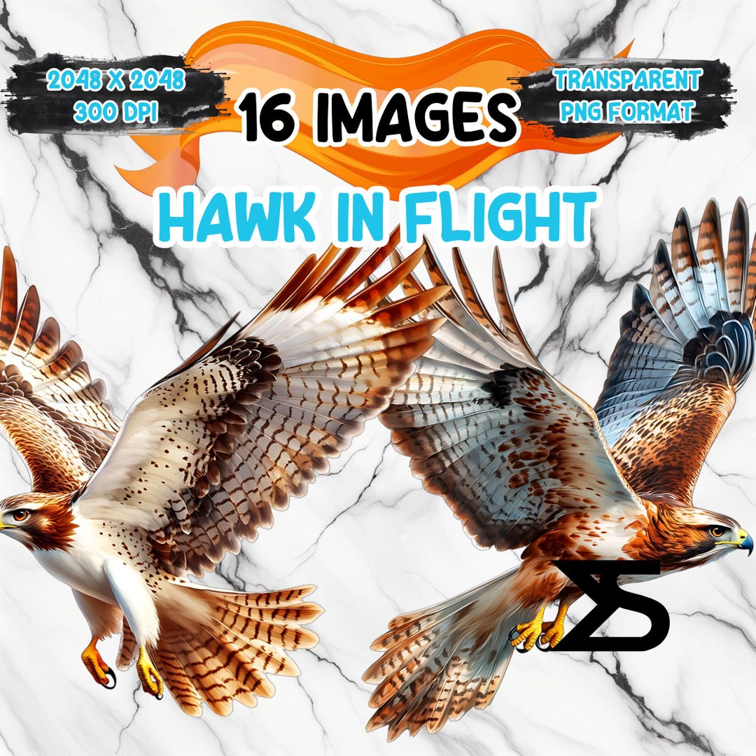 Watercolor Hawk in Flight PNG Image on Transparent Background, Digital ...