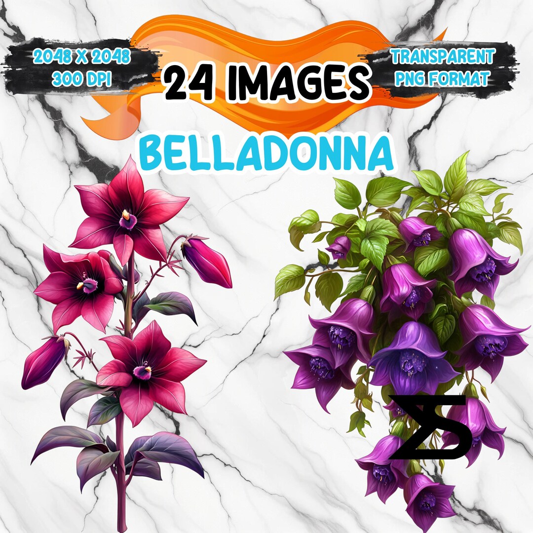 Watercolor Belladonna PNG Image on Transparent Background, Digital ...