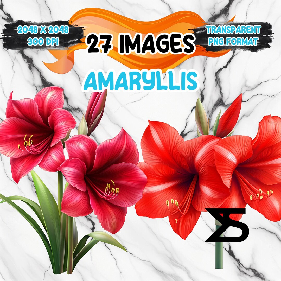 Watercolor Amaryllis PNG Image on Transparent Background, Digital ...