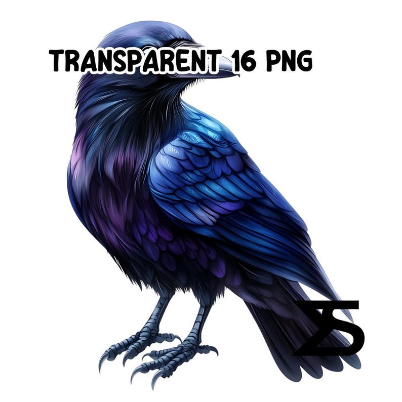 Watercolor Crow PNG Image on Transparent Background, Digital Sticker ...