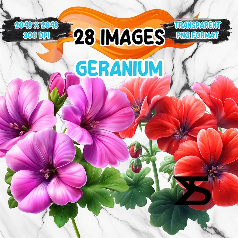 Geranium Print - Etsy