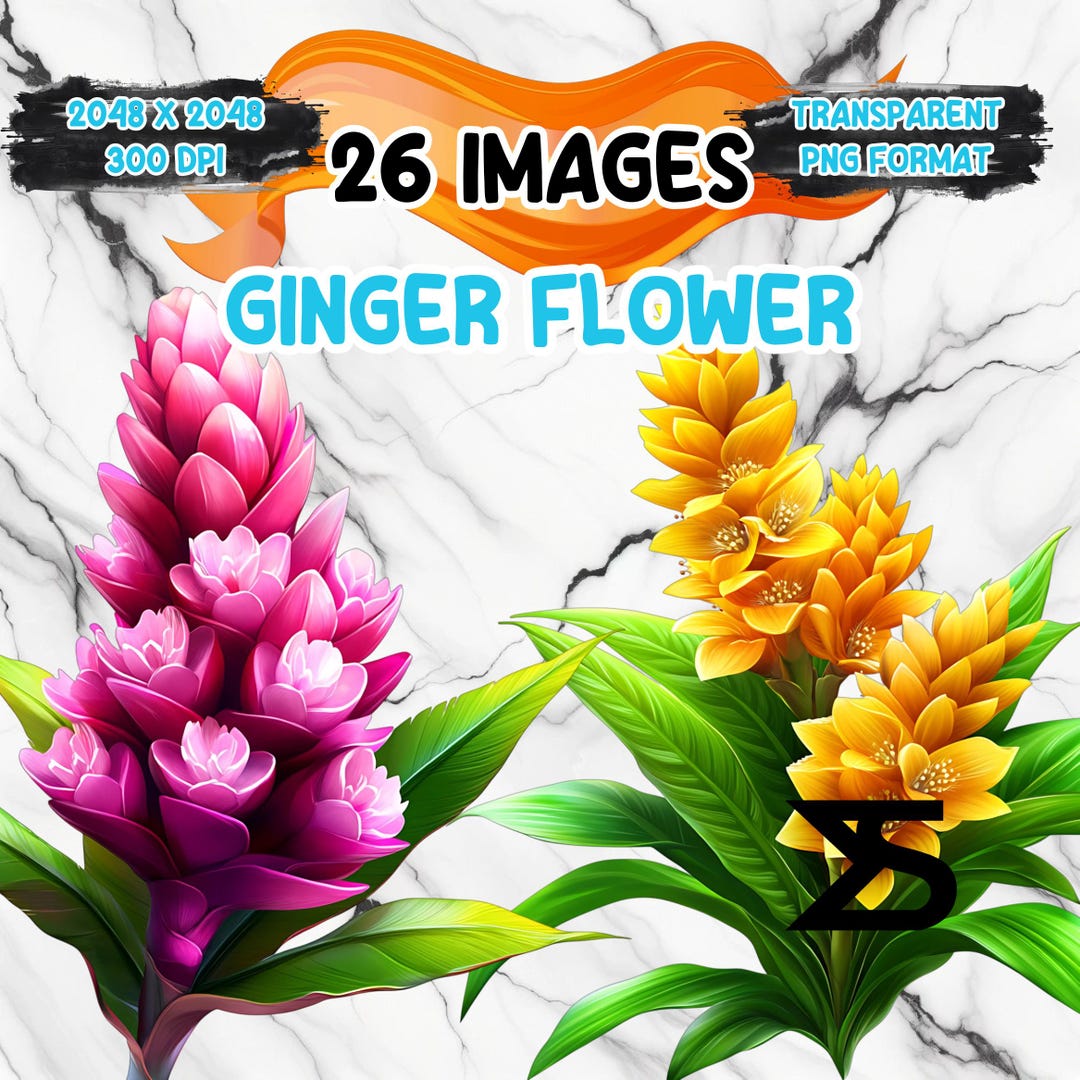 Watercolor Ginger Flower PNG Image on Transparent Background, Digital ...