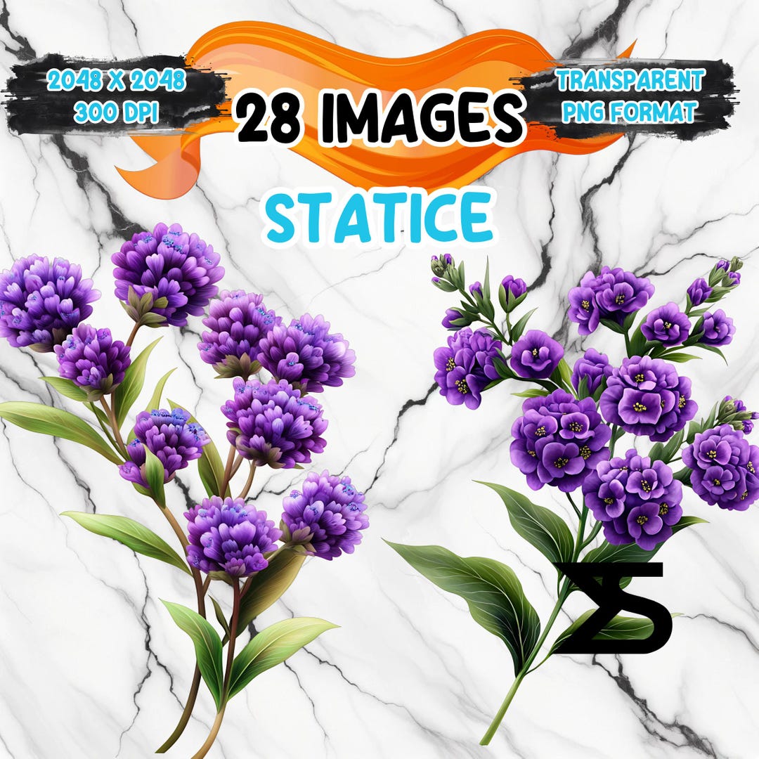 Watercolor Statice PNG Image on Transparent Background, Digital Sticker ...