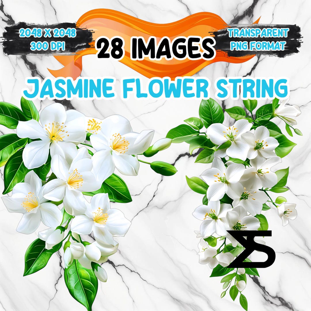 Watercolor Jasmine Flower String PNG Image on Transparent Background ...