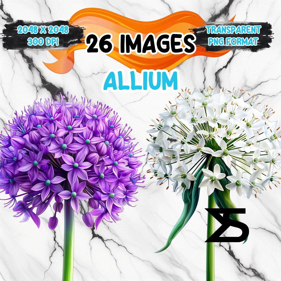 Watercolor Allium PNG Image on Transparent Background, Digital Sticker ...