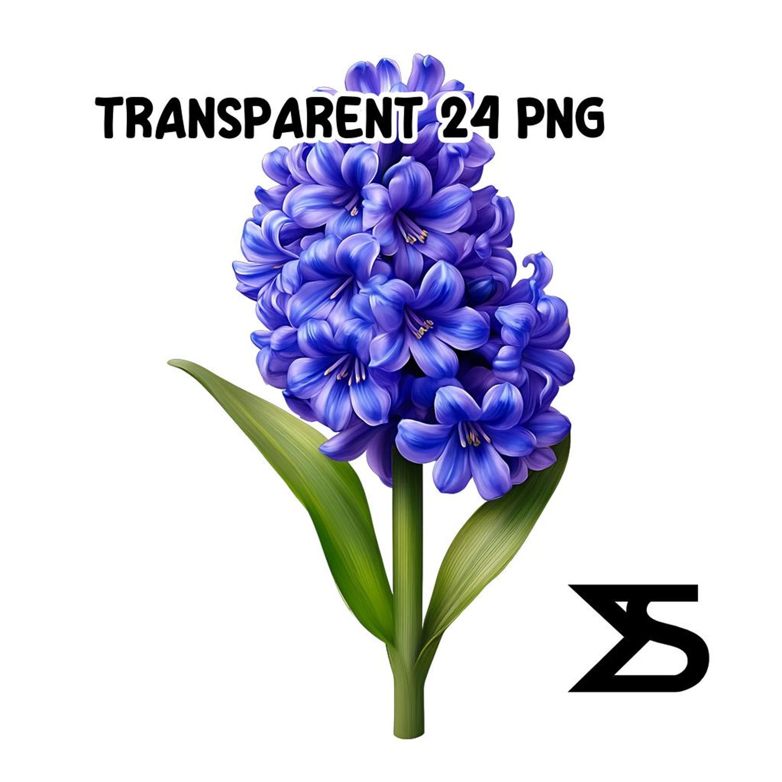 Watercolor Hyacinths PNG Image, Spring Clipart Bundle, Commercial Use ...