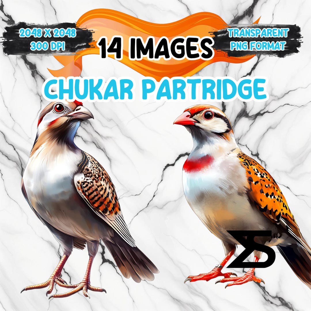 Watercolor Chukar Partridge PNG Image on Transparent Background ...